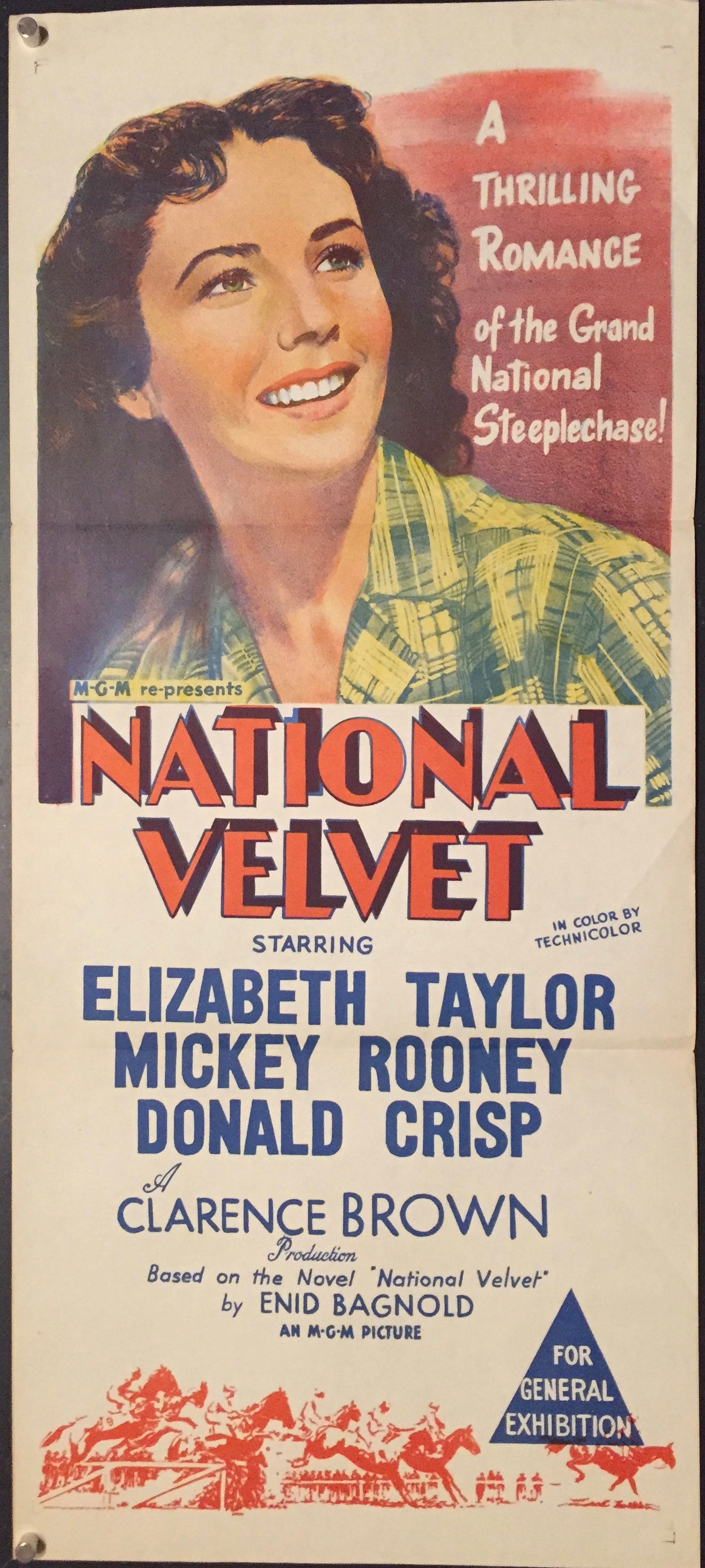 National Velvet Movie Poster Upcycled VHS National Velvet Movie